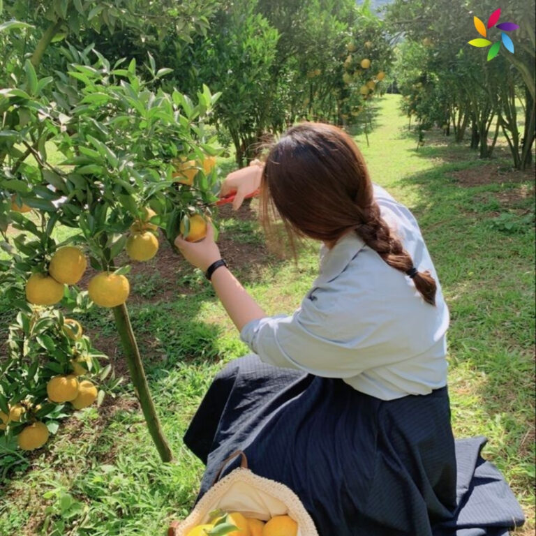 200+ Farmer Captions For Instagram To Celebrate Farm Life - Captionedz